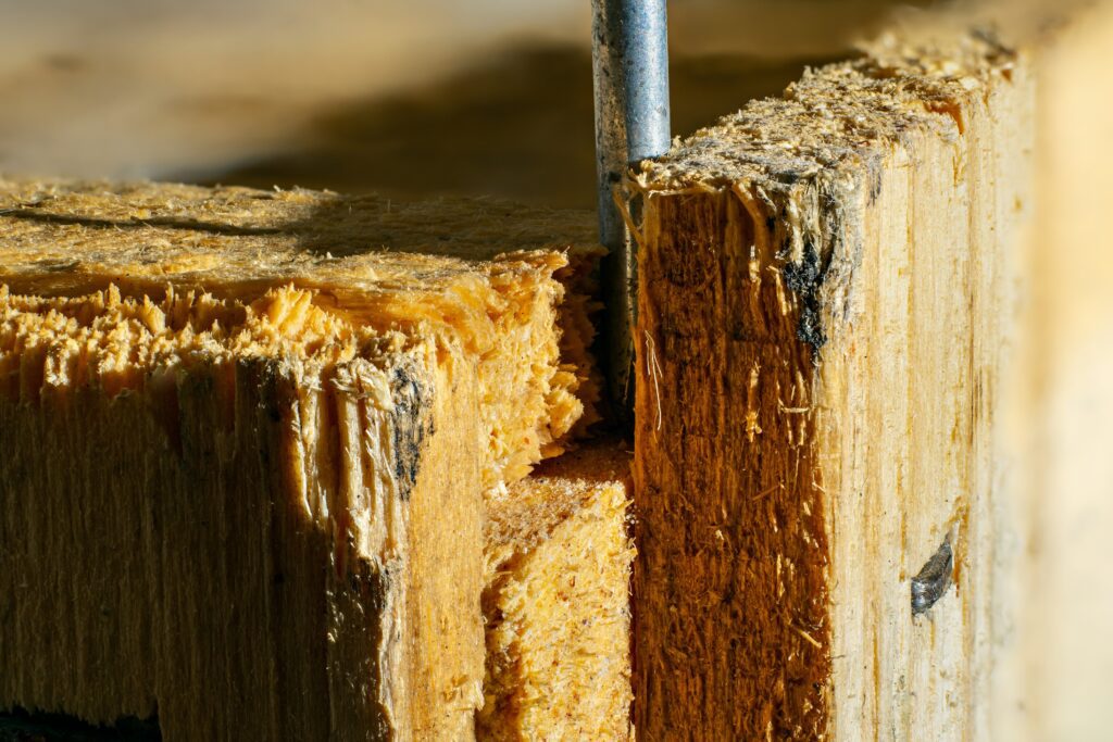 How To Spot Potential Termite Activity | Porters House